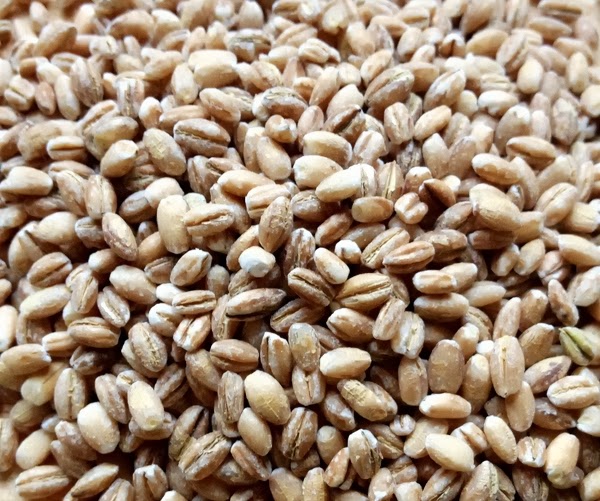 Cooking for Health: Barley and its health benefits