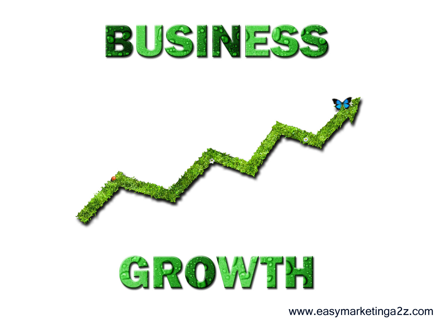 25 High Quality Free Pictures on "Growth" "Business Growth" for ...