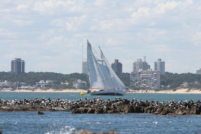 VELEIROS CLÁSSICOS BRASILEIROS: Atrevida