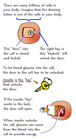 Dr. Deena's Daily Dose: What is Diabetes?