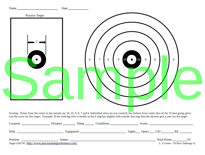 Precision Target Shooters: Target 201743