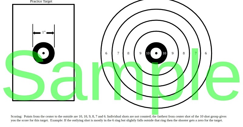 Precision Target Shooters: Target 201743