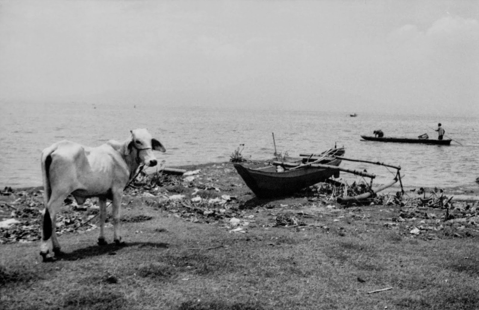 In Plain View: Jala Jala