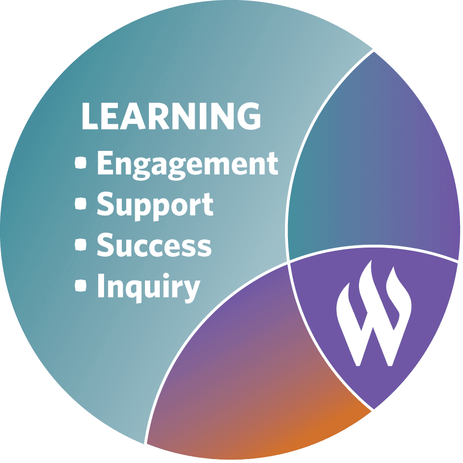 The Learning Experience