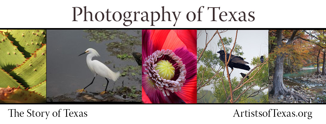 Photography of Texas