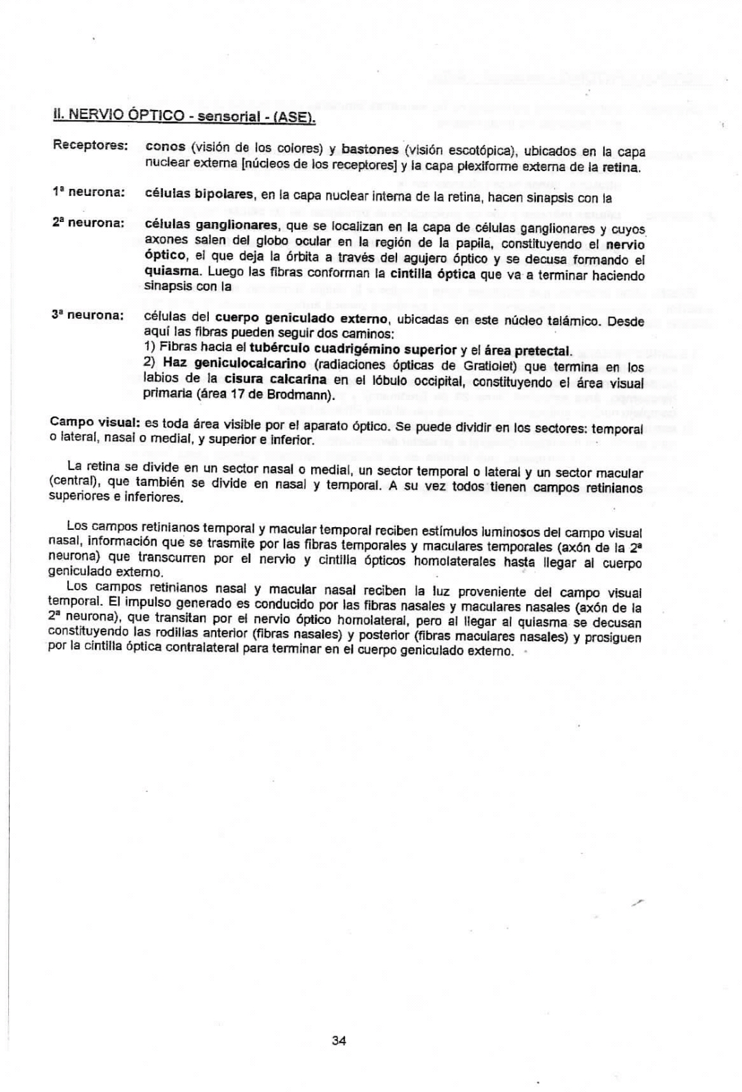 Estudiante de medicina : Apunte de neuroanatomia de Forlizzi Pro