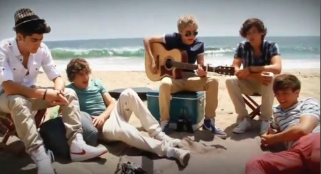 One Direction Fans ( Directioners ) : One Direction ( Directioners )