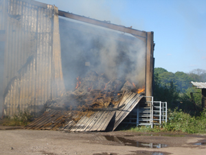 Jane Basham: A CRIME WITHOUT A VICTIM?