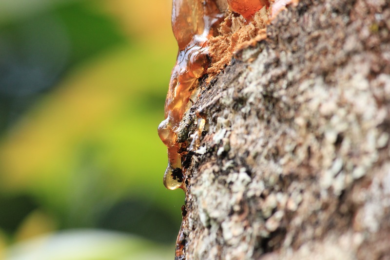 SMC Kilimanjaro: A Day of New Experiences