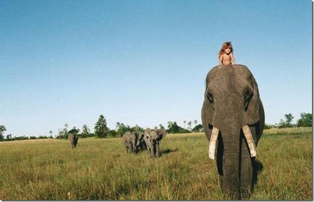 White Wolf : Tippi Degre - Young French girl who befriended the wild ...