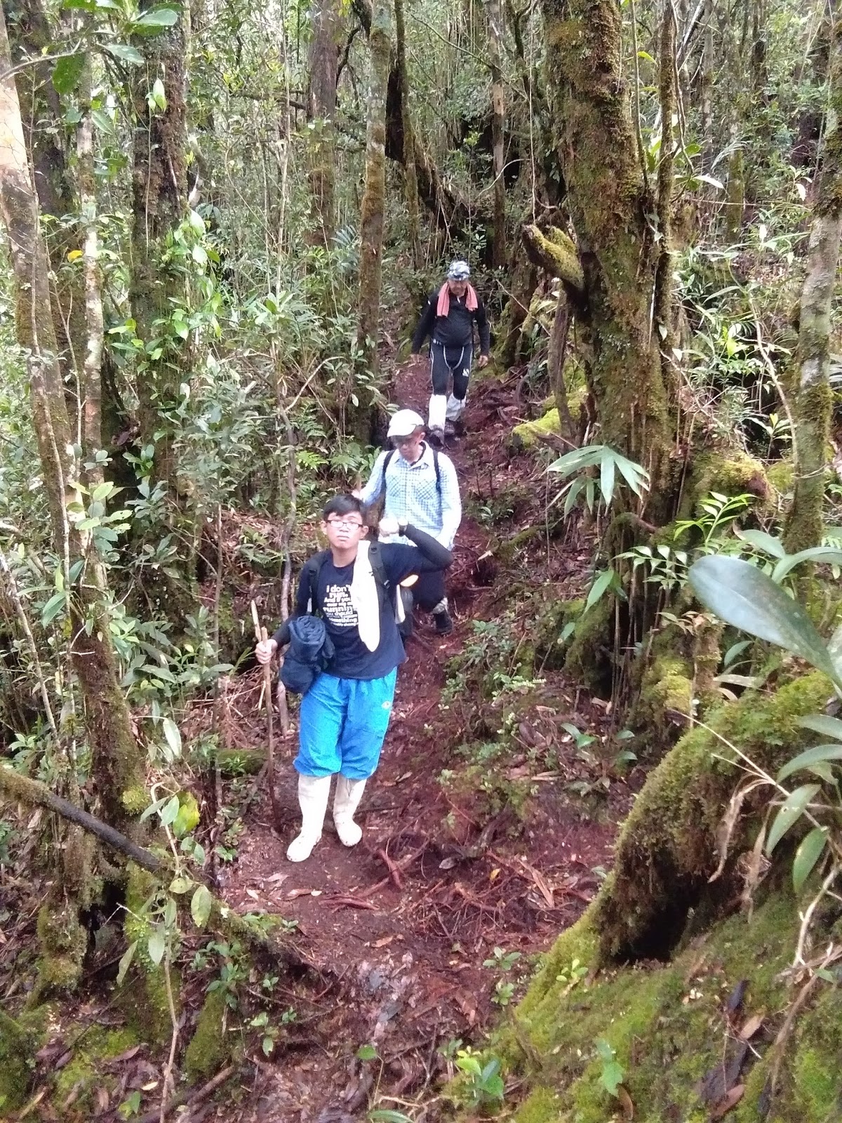 MT TRUSMADI VIA SINUA: PENDAKIAN GUNUNG TRUSMADI