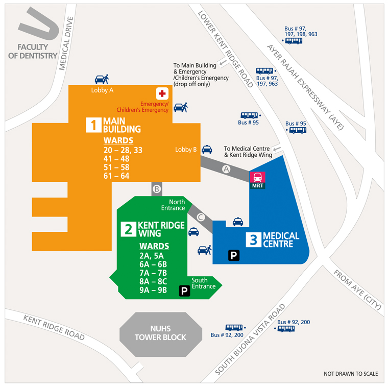 NUH ENT Clinic: ENT Specialists in National University Hospital (NUH ...