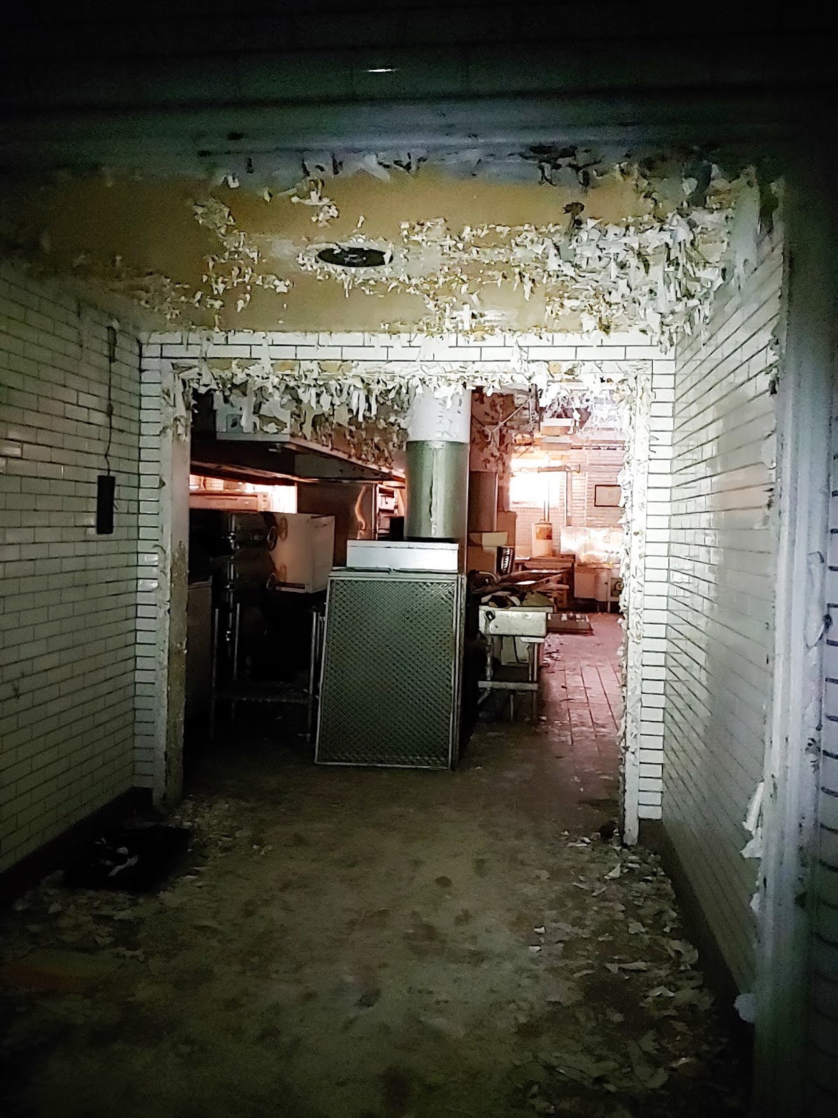 Inside Eloise Hospital: Metro Detroit's Most Haunted Asylum