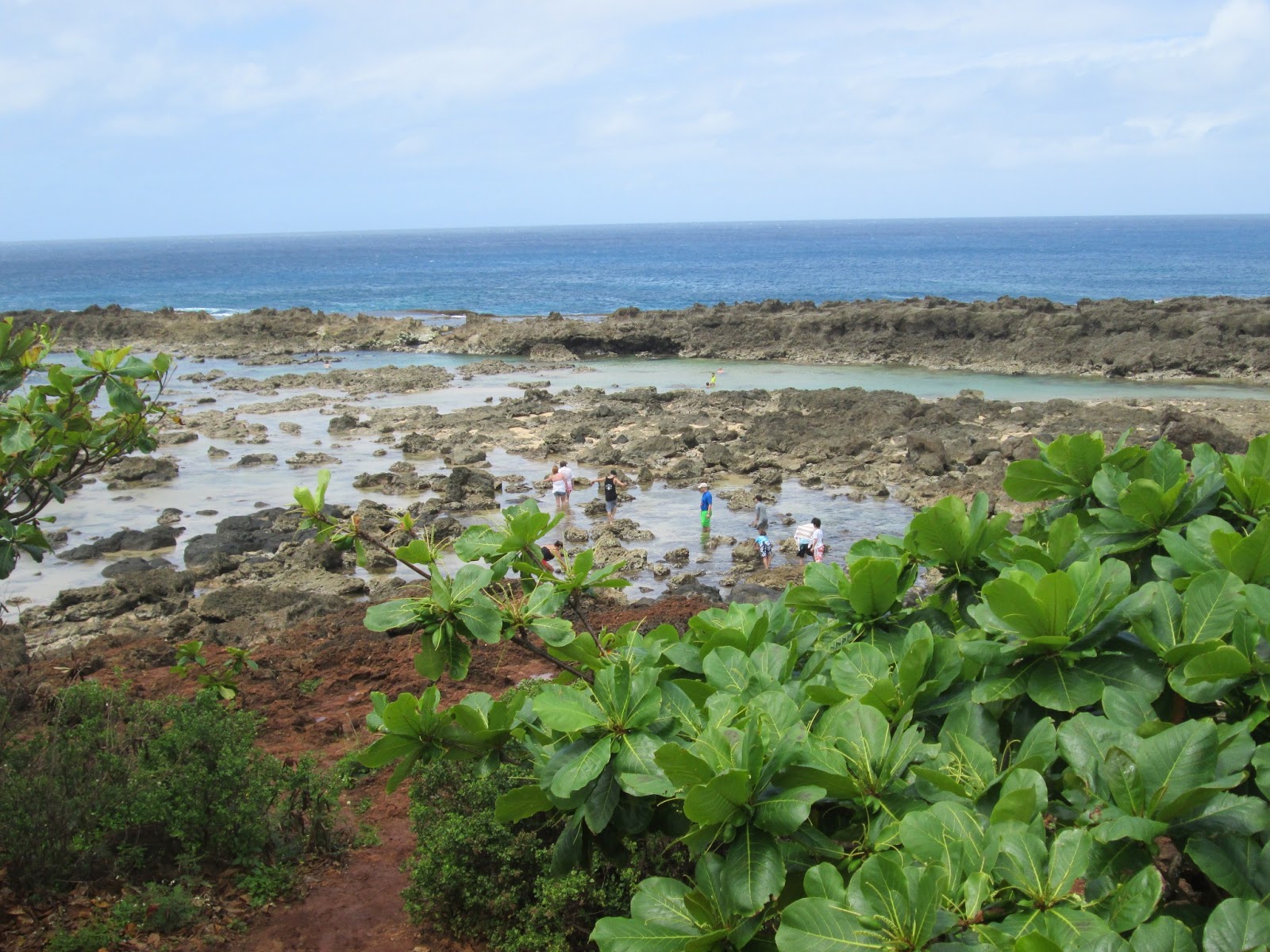 Aloha On My Mind: Aloha to Pupukea on the North Shore