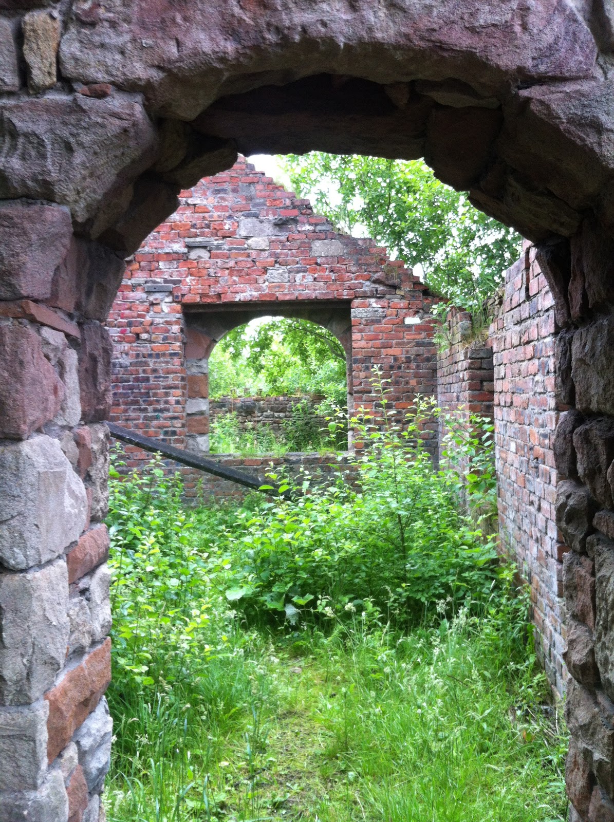 Visions of a Madman: In Ruins: Abandoned Houses in Carmyle