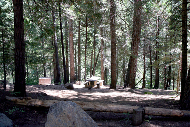 Papa's Poncho: Mountain Home State Forest