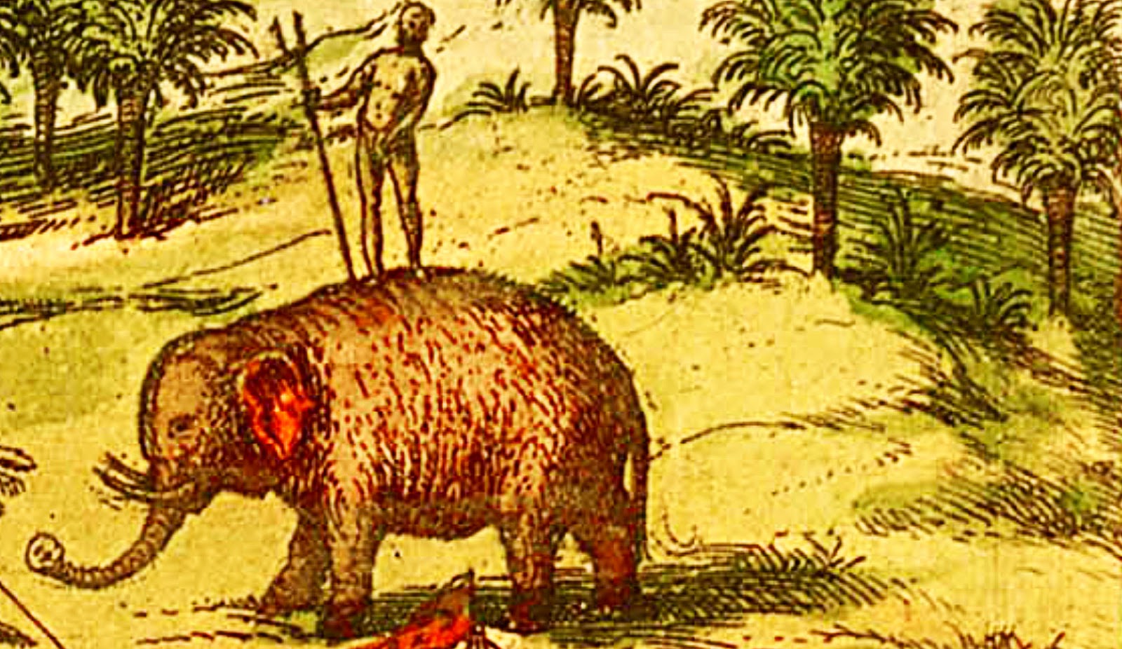 QUINA LA FEM?: [1593] Calecut, segle XVI