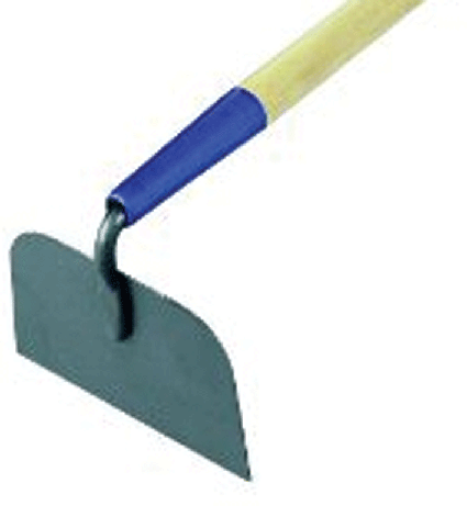 Ministerios AZADON , colectan dinero y JAMAS AYUDAN A LOS NECESITADOS