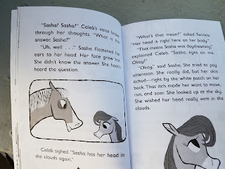 The ABCD Diaries: Children's Book Series Review: Tales of Sasha- Books ...