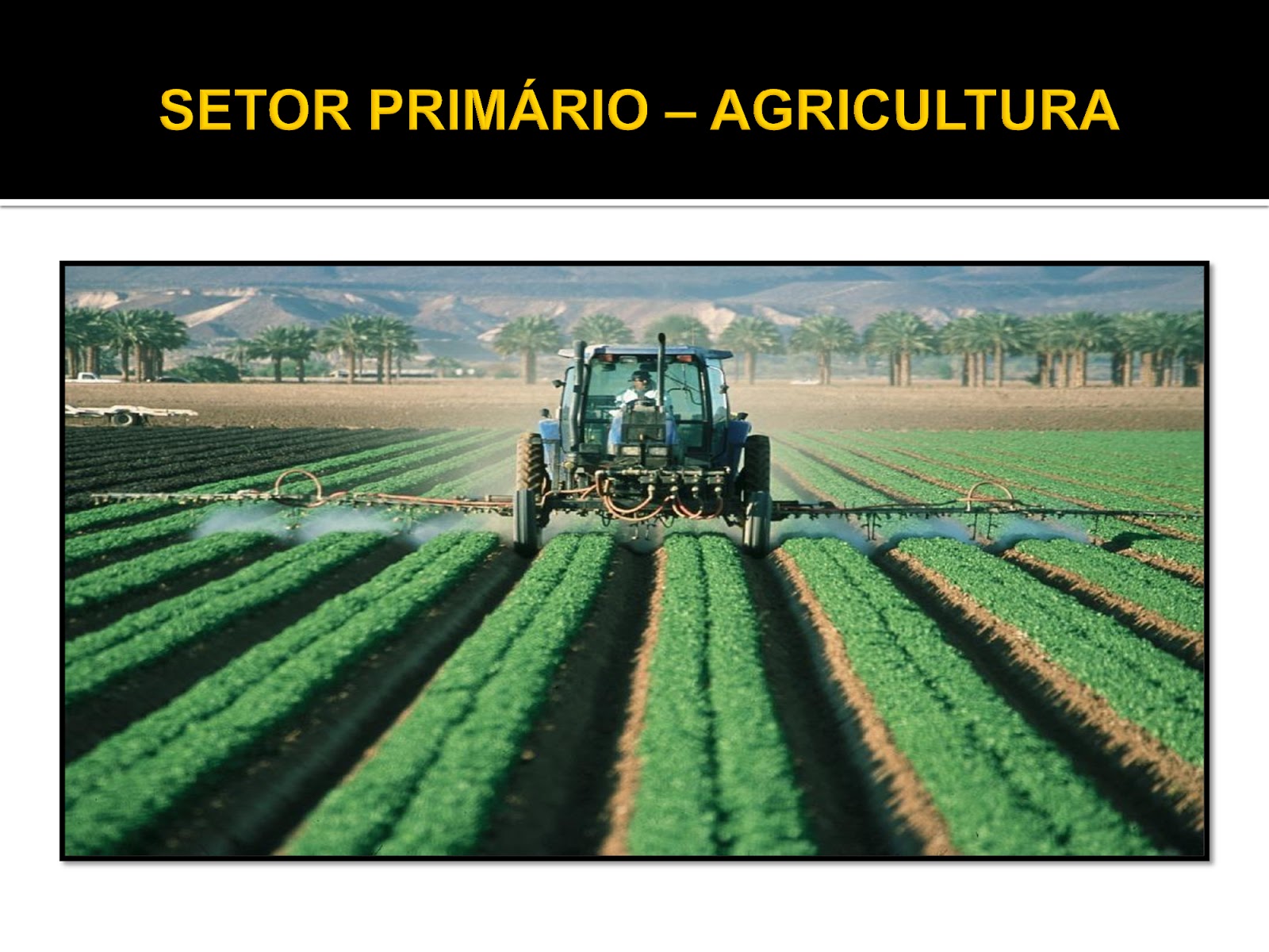 Imagens Do Setor Primário - RETOEDU