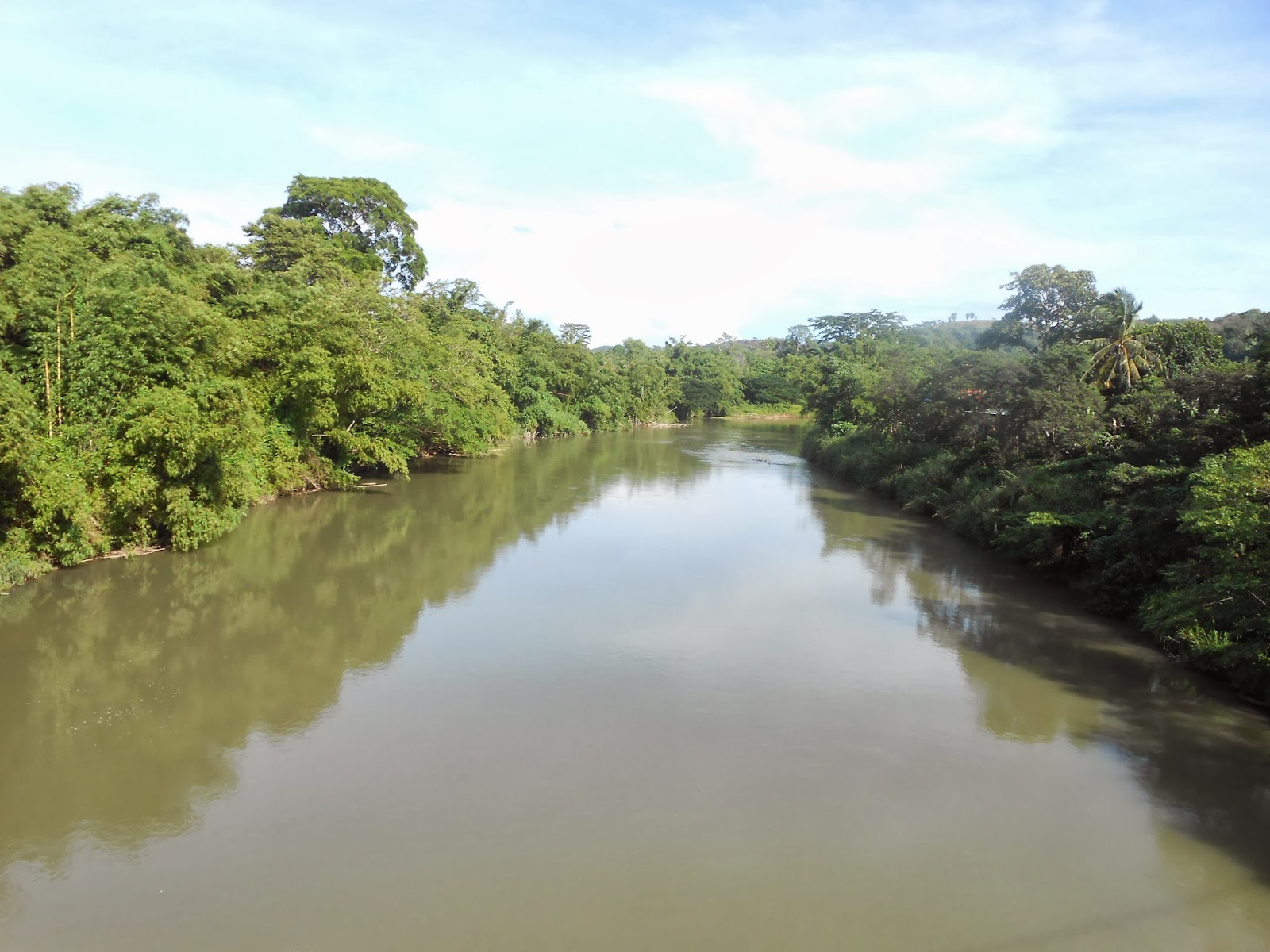FREELITTLEBRAIN: Jambatan Tamparuli – the world famous hanging bridge ...
