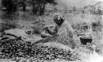 Zephyre's Blob: Coast Salish - Native Americans of Western Washington