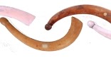 Experimental prehistory & various digressions: Traditional boomerangs ...