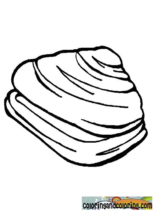 Clam Coloring Pages - Kidsuki