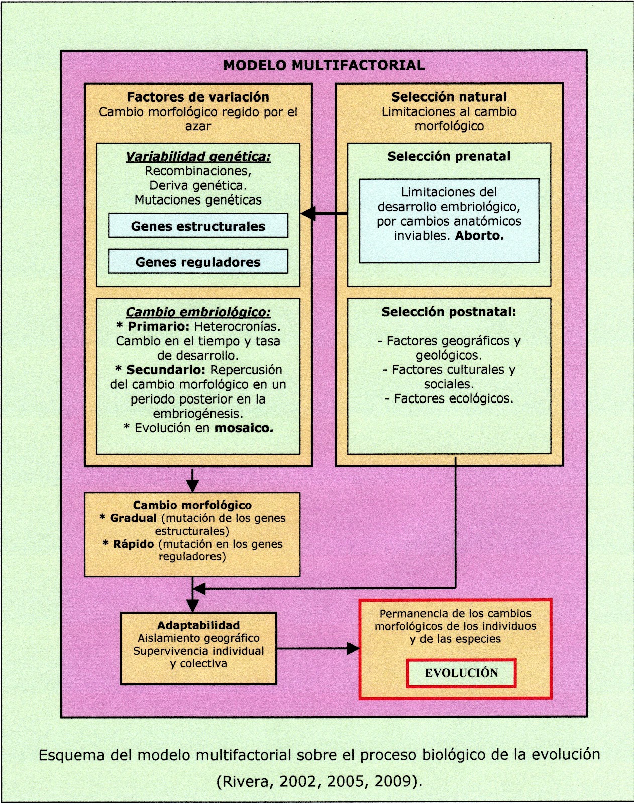 Arqueología Cognitiva: Evolución biológica y conducta arqueológica