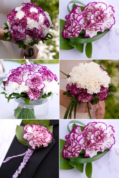 Elite Designs By Daphne: Carnations Can Be A Brides Best Friend!