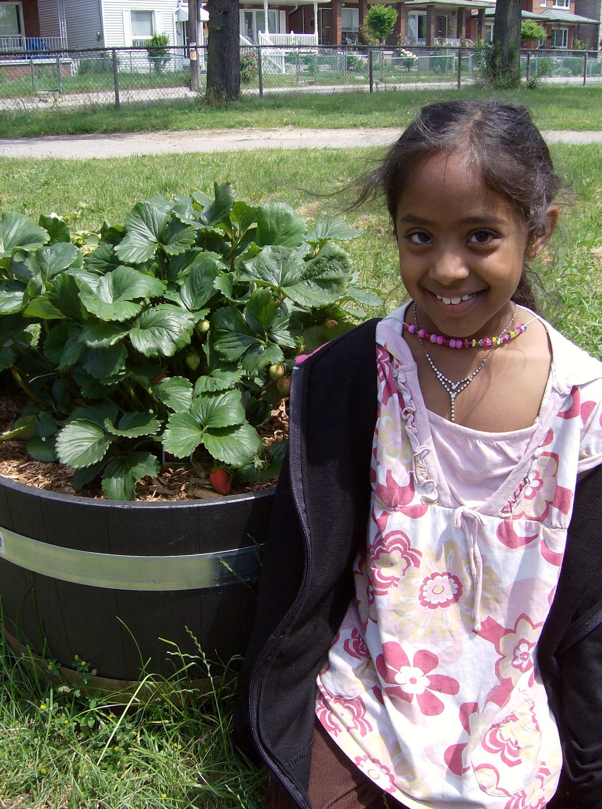 George Syme Community School Garden Club: Look what is happening in the ...