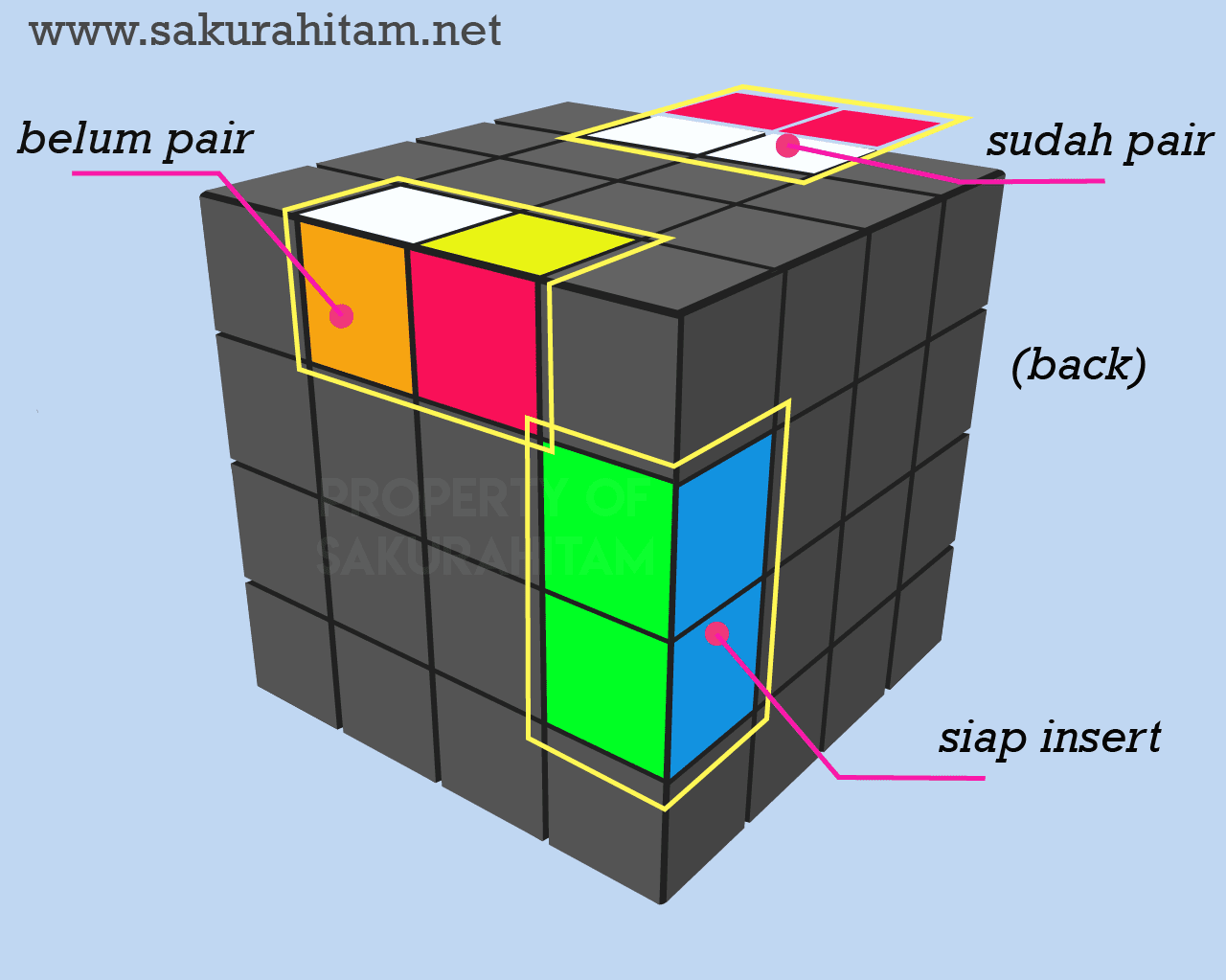 51+ Carilah Gambar Bunga Sakura, Trend Terbaru!