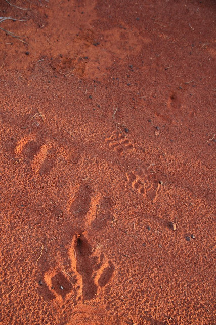 Cycling, A Taste of Freedom