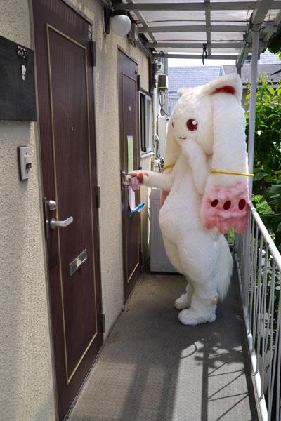 Cosplay Photos in Zip: Puella Magi Madoka Magica Kyubey Cosplay