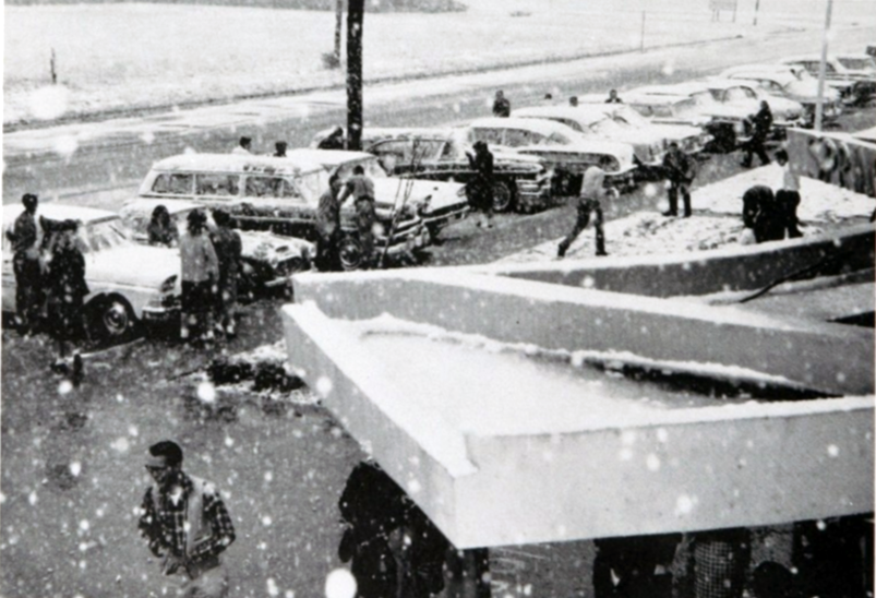 South Belt Houston Digital History Archive: Houston Area Yearbook ...