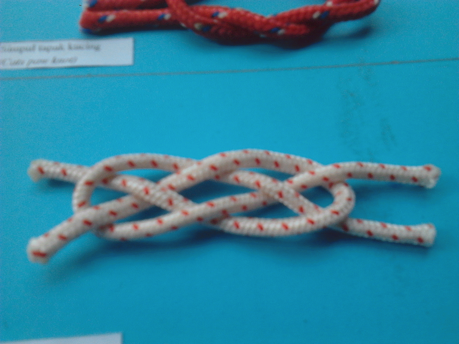 maswafi.blogspot.com: Lencana Kemahiran (Ikatan dan Simpulan)