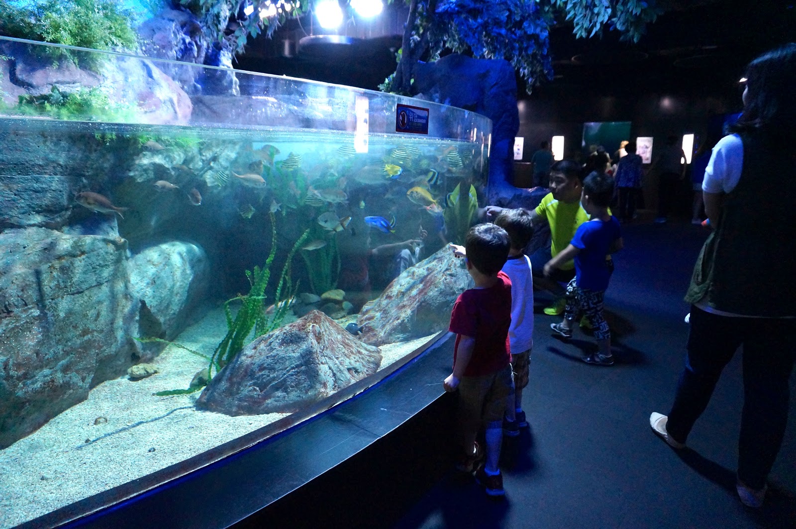 Across the Sea - Our Life in South Korea: Busan Aquarium