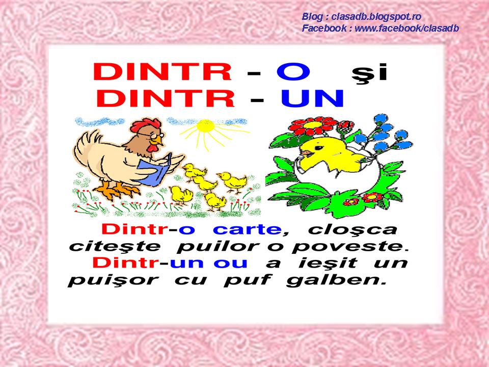 CLASA NOASTRĂ: [ FOTO ] ORTOGRAME ( 3 )