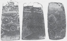 Masa Bercocok Tanam Tingkat Lanjutan | FullSeoBlog