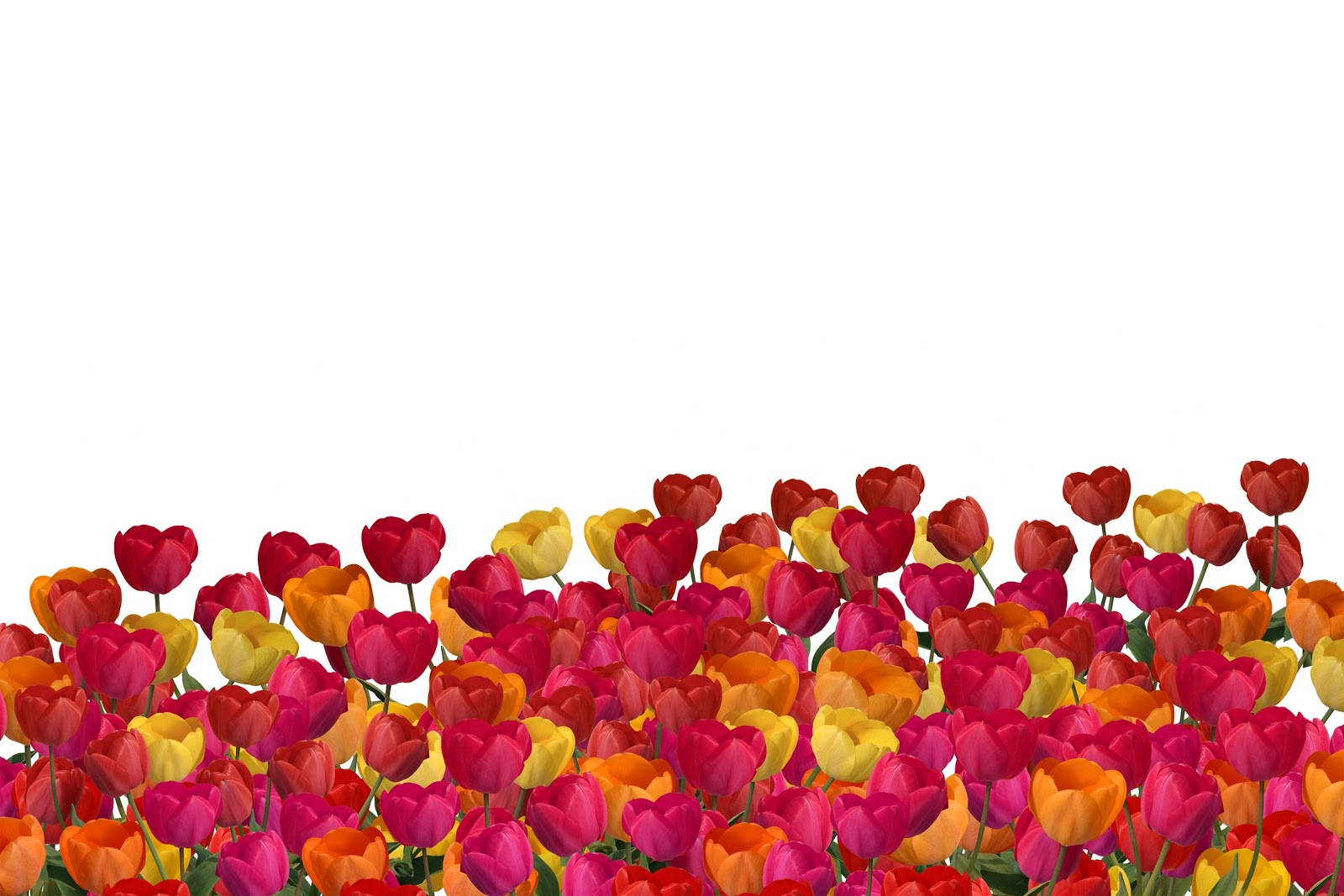 CLÍNICA DOCTORA PAEZ | Psoriasis