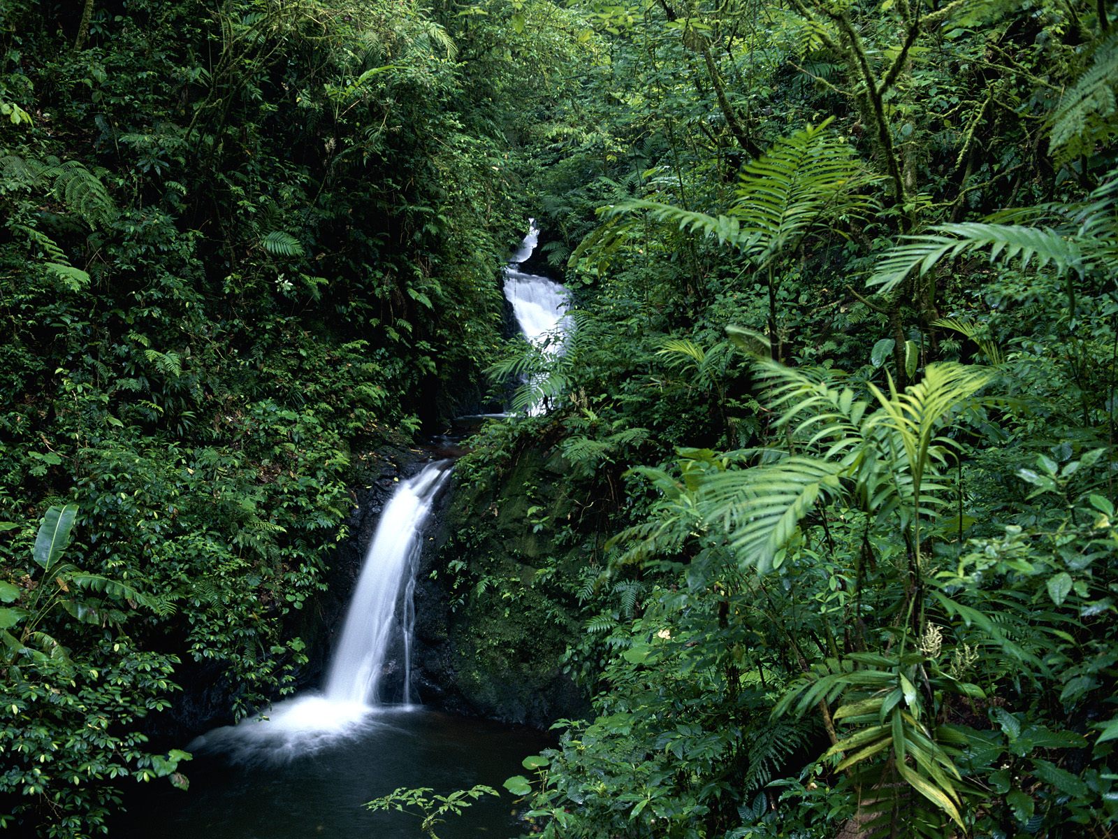 LA GUARIDA DE BAM: Costa Rica. Extraordinaria y exuberante Naturaleza