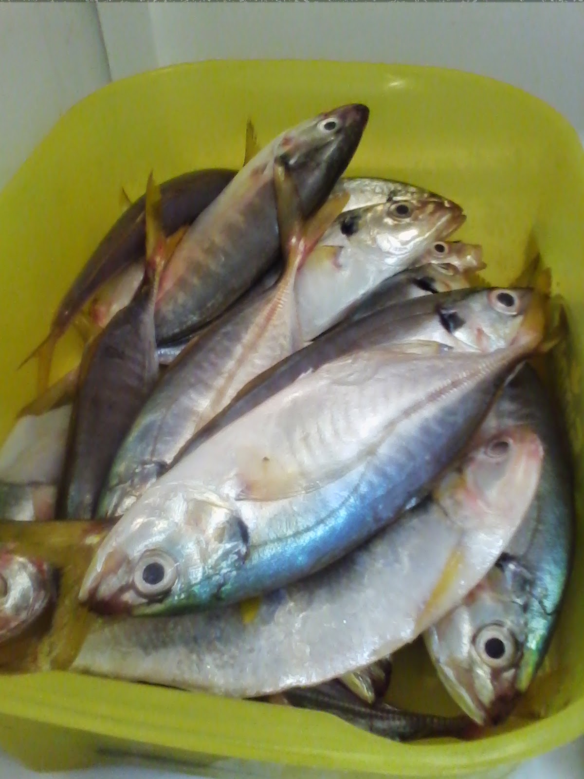 ~ SeTuLUs KasIh SeIkhLas HatI ~: Pengalaman Pertama Memancing di One ...