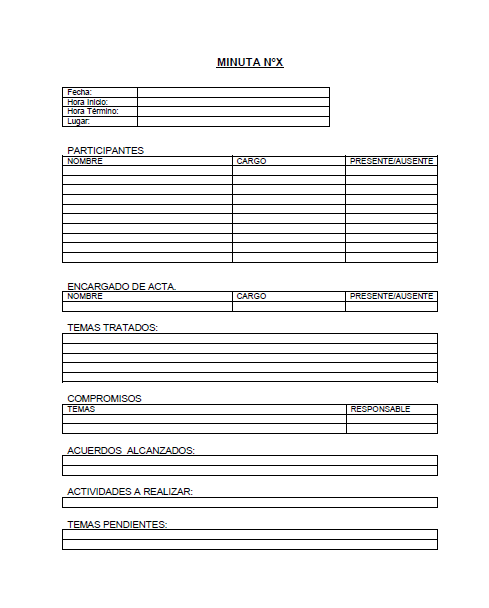 Sistemas de Información: Formato de Minuta.