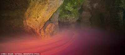 Scuba Diving Blog by Neutral Dive Gear: Breath-Taking Photos of the ...