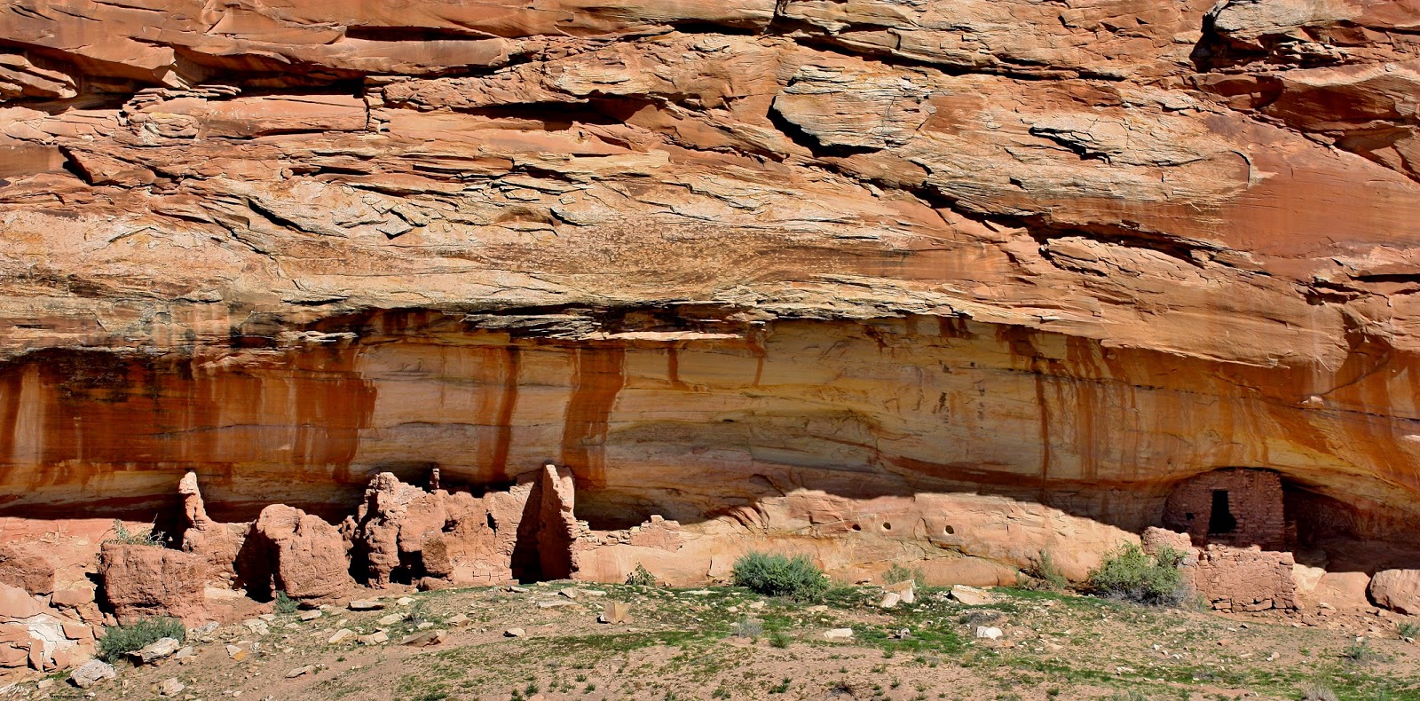 The Southwest Through Wide Brown Eyes: Wolfman Panel and Ruins - Comb ...