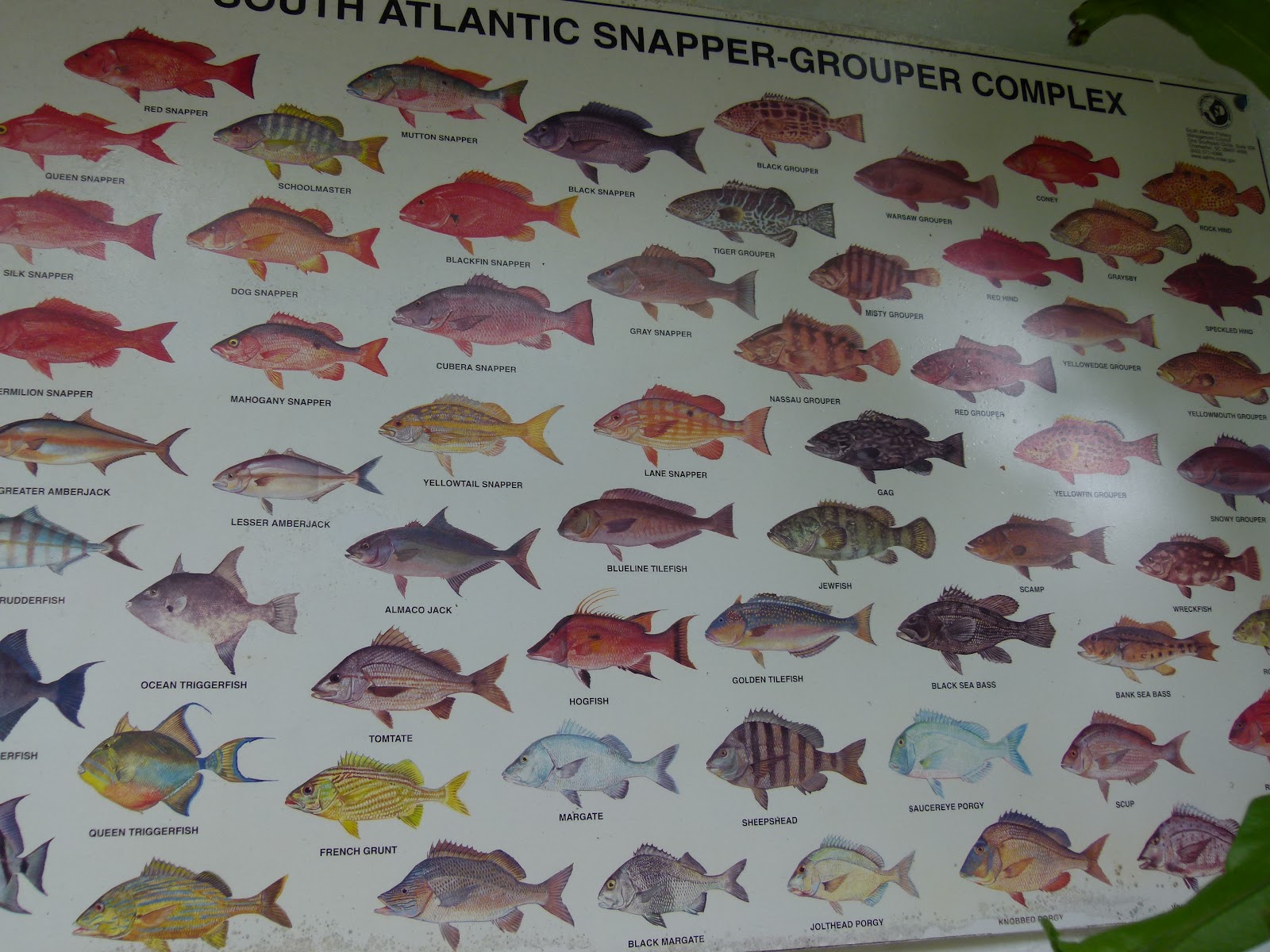 Visit Key West: Key West aquarium