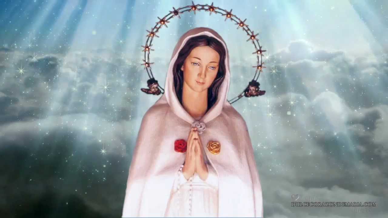 Apostolado Mariano: VIRGEN ROSA MÍSTICA