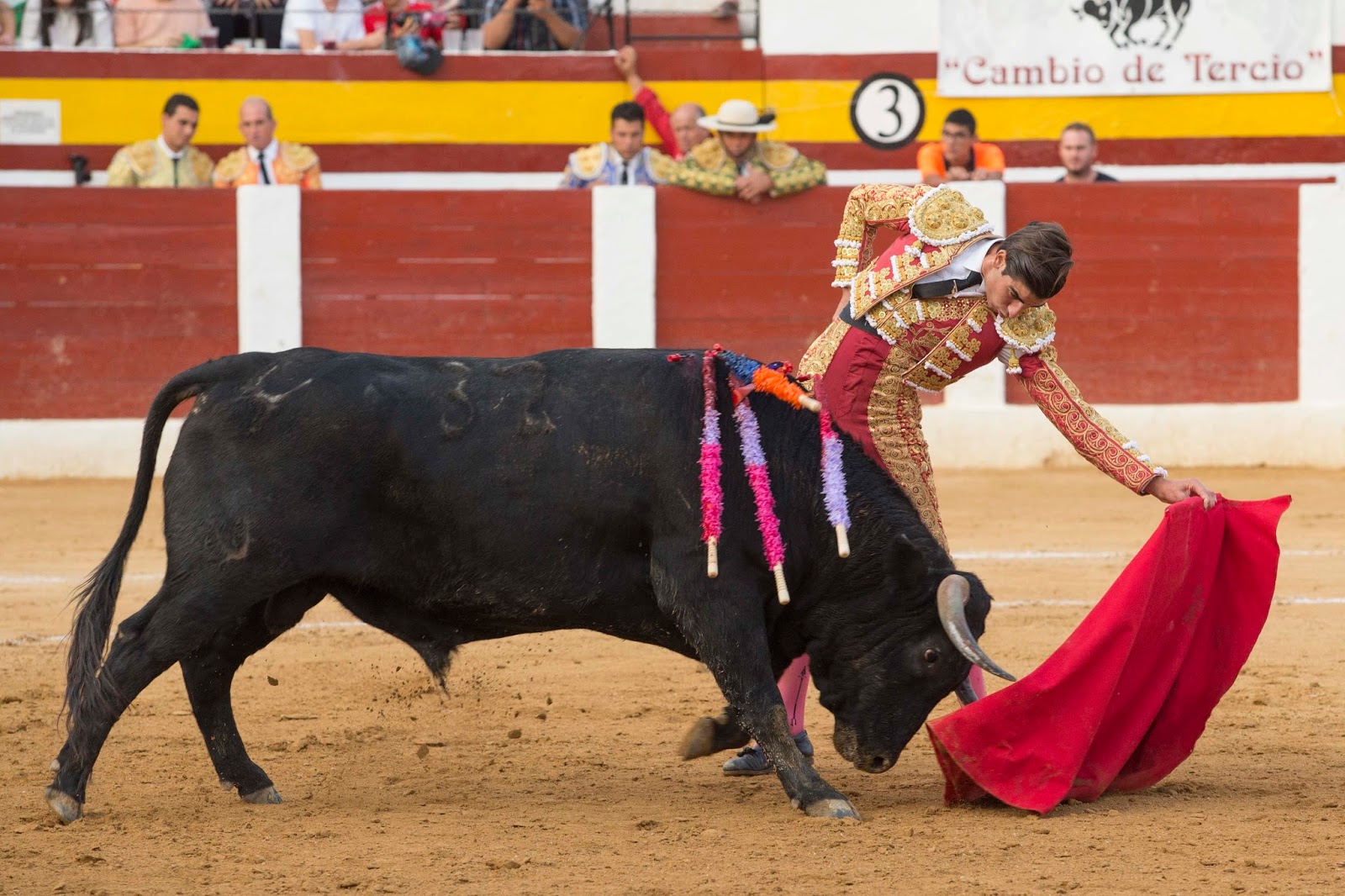 Gelán Noticias: TOROS.- Oreja para el novillero Miguel Ángel Pacheo en ...