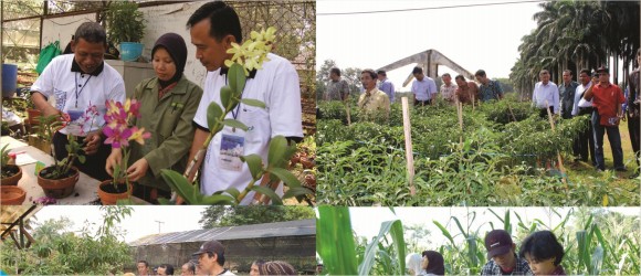 Pemilihan Metode Penyuluhan Pertanian | jurnal-pp