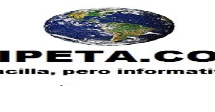 ¿Qué significa y de donde sale la palabra Yipeta? - YIPETA.COM Sencilla ...